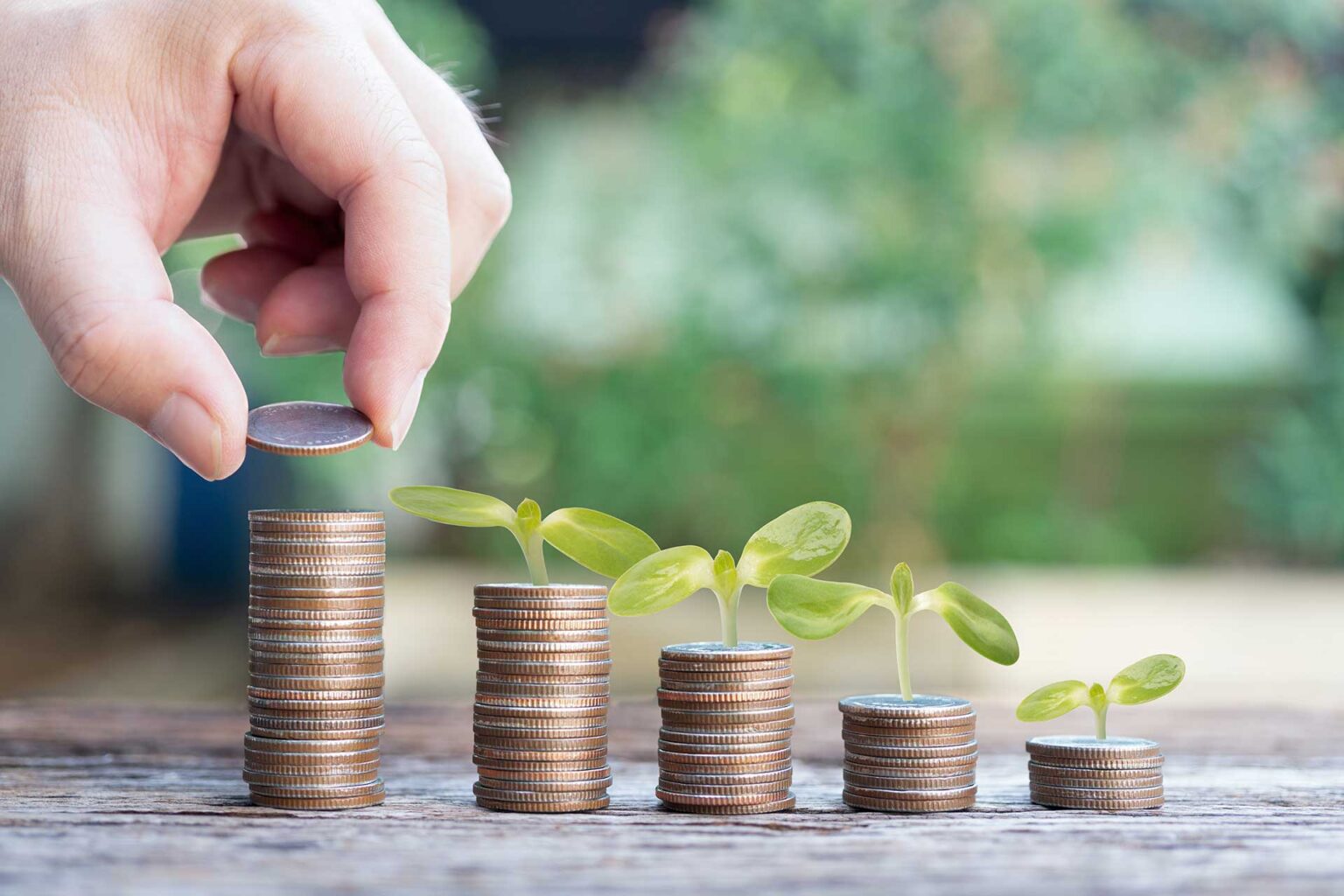 Primecover- Insurance – Award Winning inusrance Company